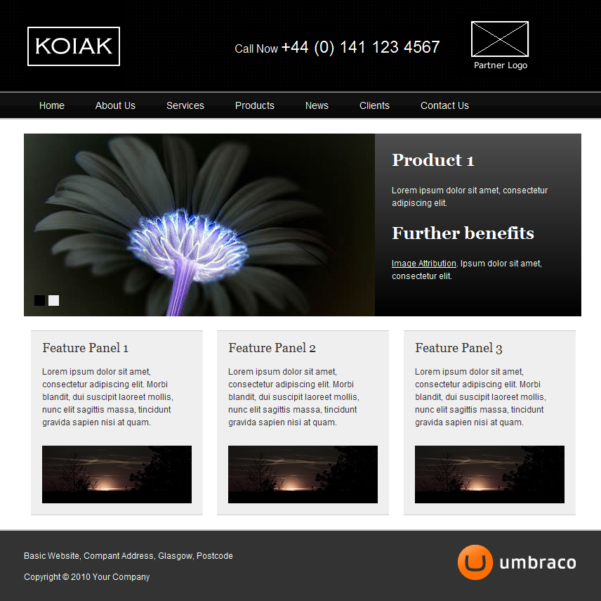 Basic Website Our umbraco